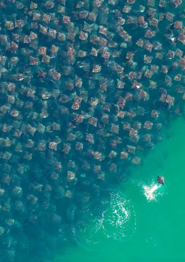 The icy waters of the Arctic of the north pole | WWF