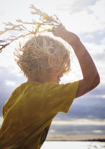 Special Events | WWF