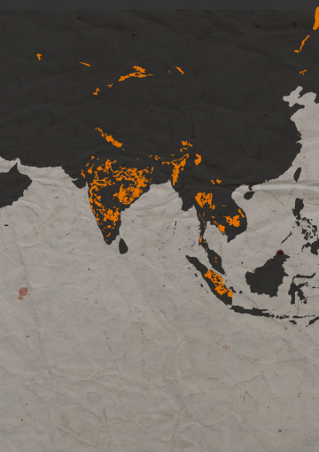 Tigers: possibly the world's most iconic big cat | WWF