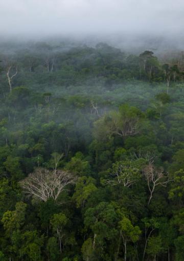 Climate change | WWF