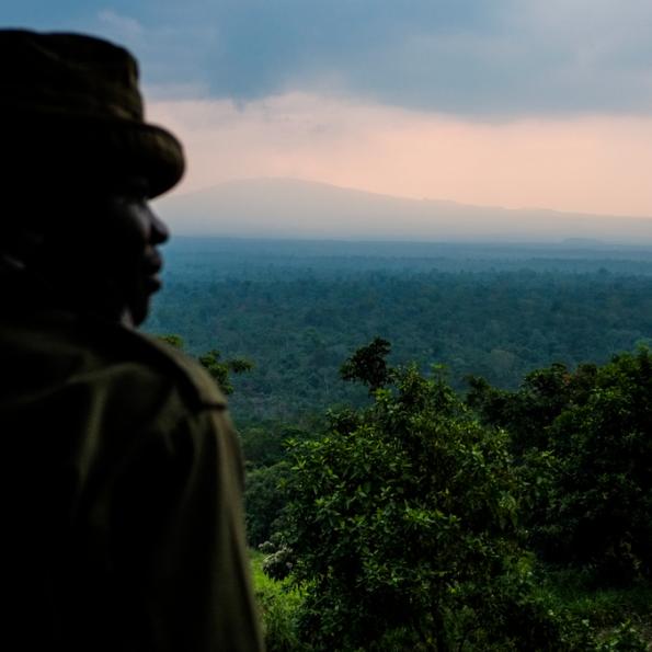 Why it's important that we value nature | WWF