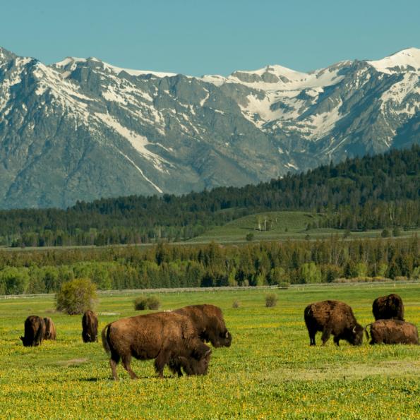 The awe-inspiring landscapes of the Eastern Himalayas | WWF