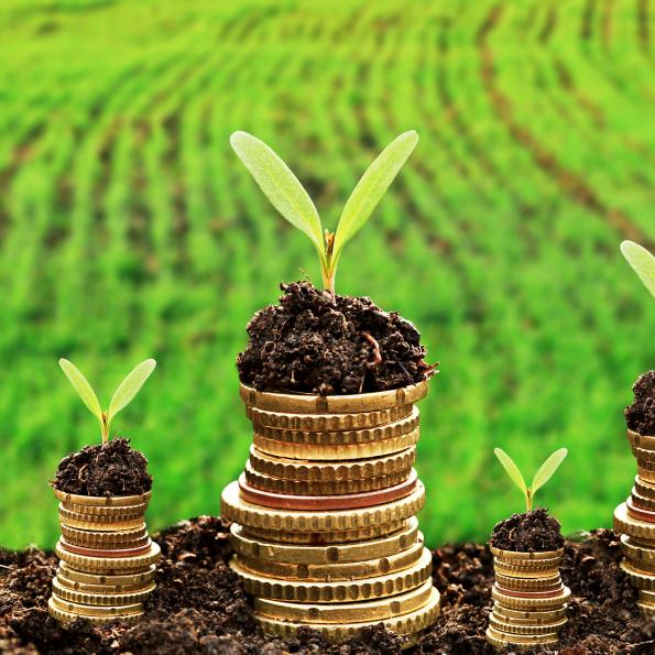 Supporting sustainable fishing practices | WWF