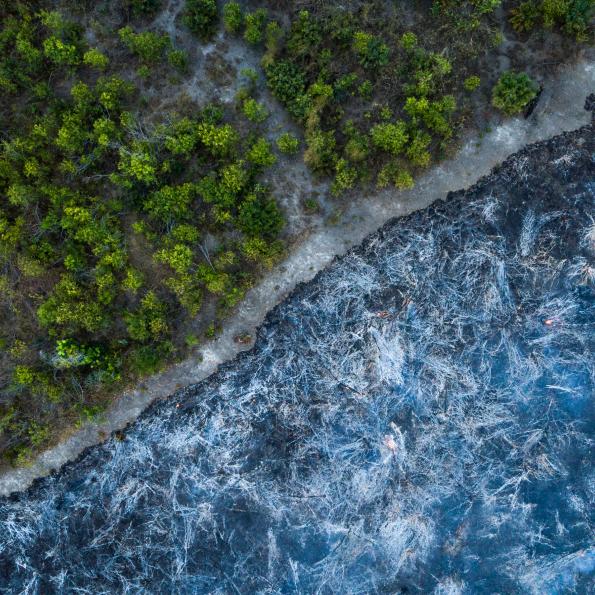 Climate change | WWF