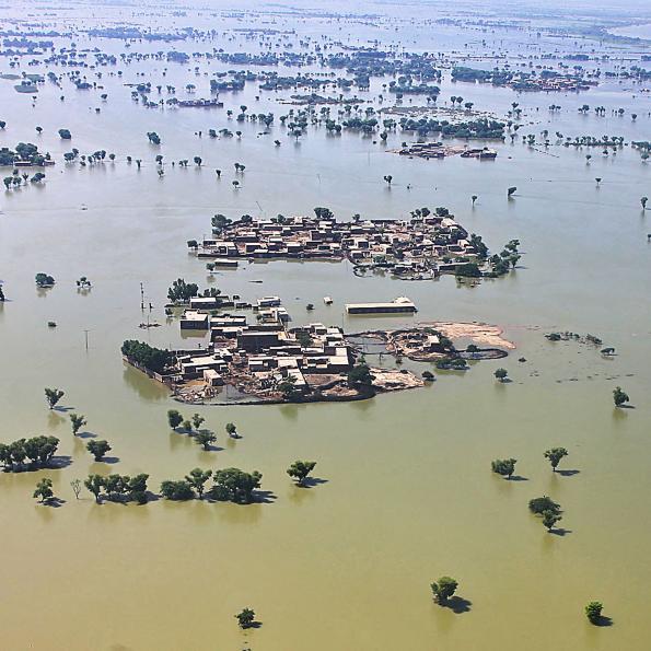 Floods and their effects | WWF