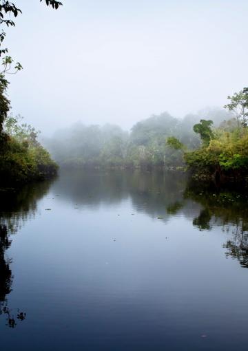 Our lakes and rivers are vital for people and wildlife | WWF
